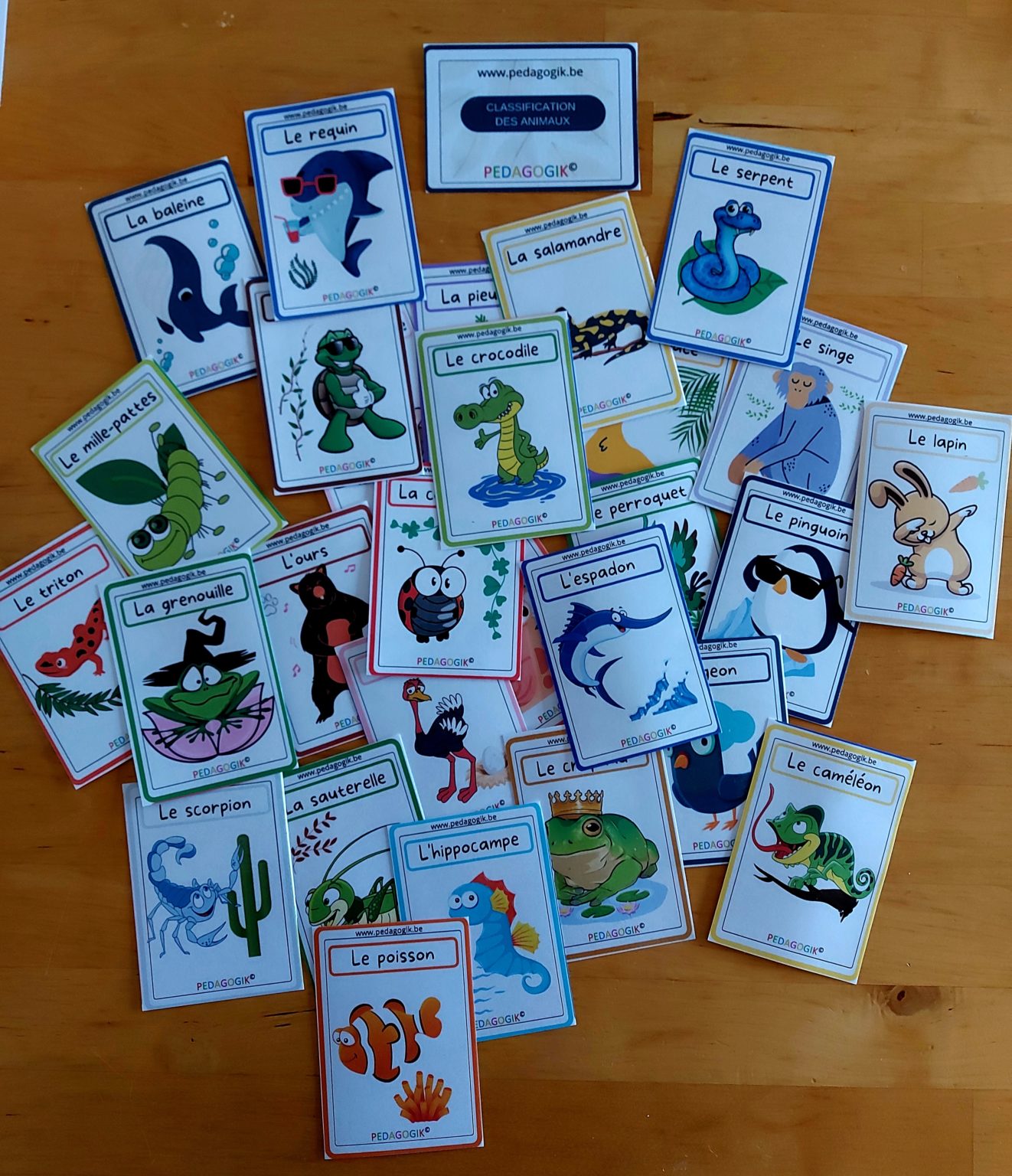 Classification des animaux - Des outils 100% gratuits pour retrouver le ... Classification des animaux - Des outils 100% gratuits pour retrouver le ...