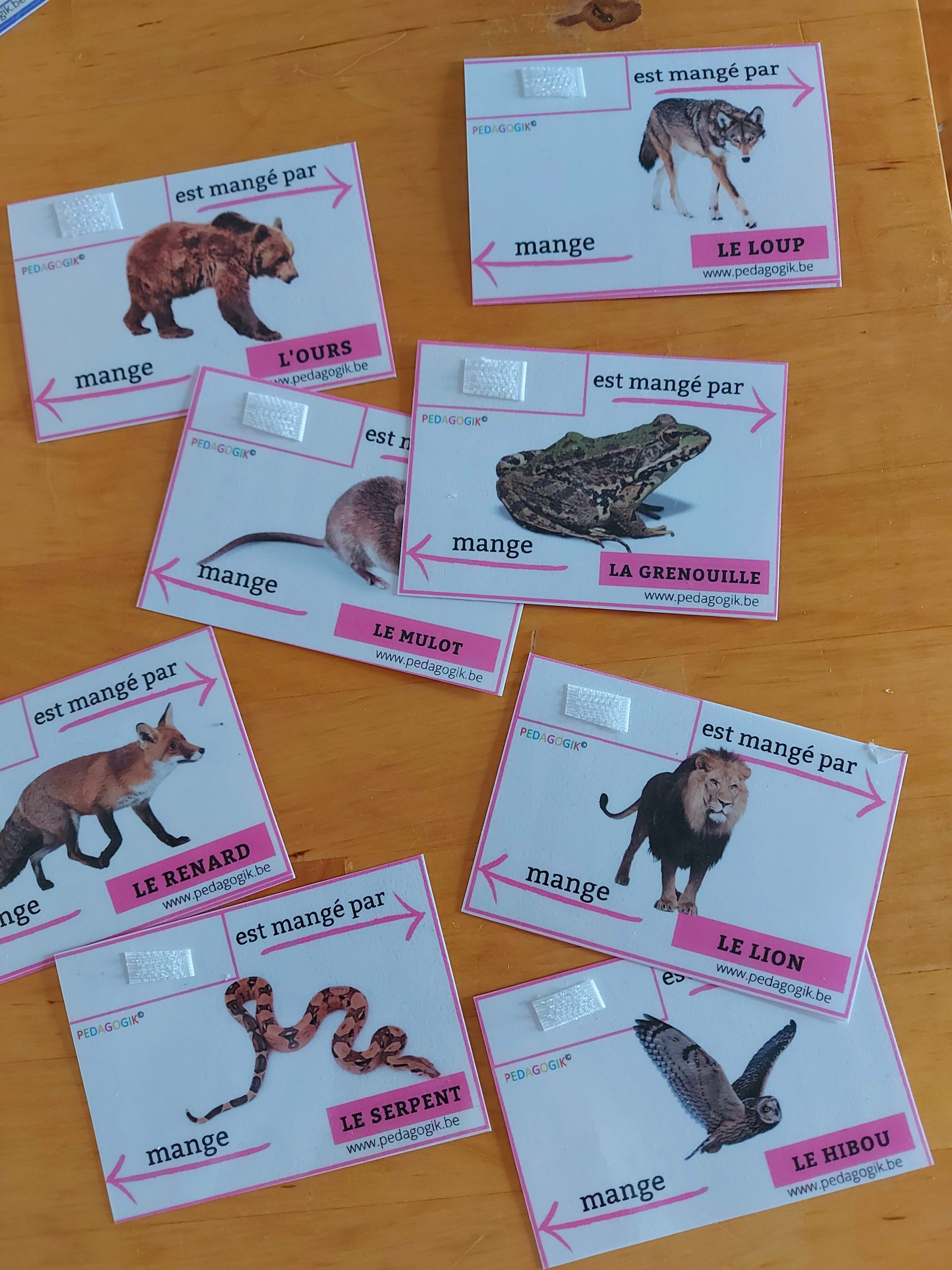 La chaine alimentaire - Des outils 100% gratuits pour retrouver le goût ...